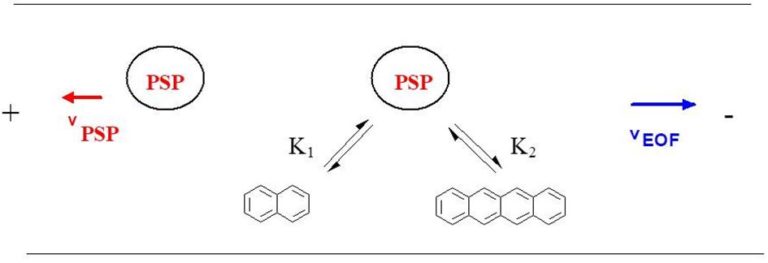 Micellar electrokinetic chromatography (MEKC) – kapillarelektrophorese.com