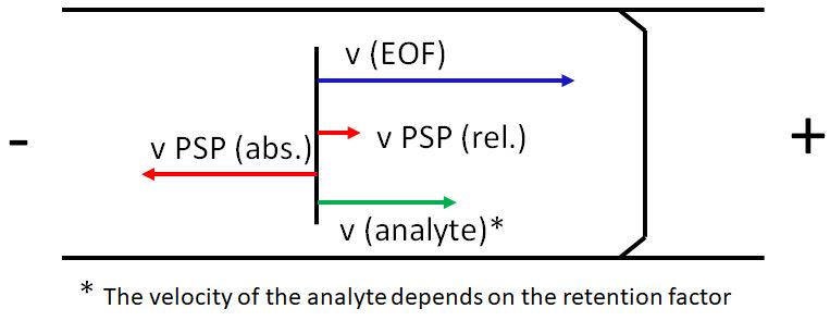 Micellar electrokinetic chromatography (MEKC) – kapillarelektrophorese.com